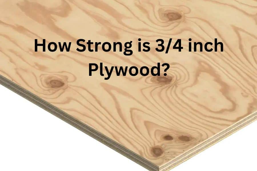 How Much Weight Can 3 4 Plywood Hold Outdoor Storage Options