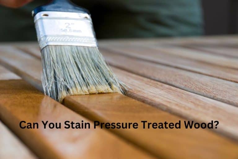 Can You Stain Pressure Treated Wood? – Outdoor Storage Options