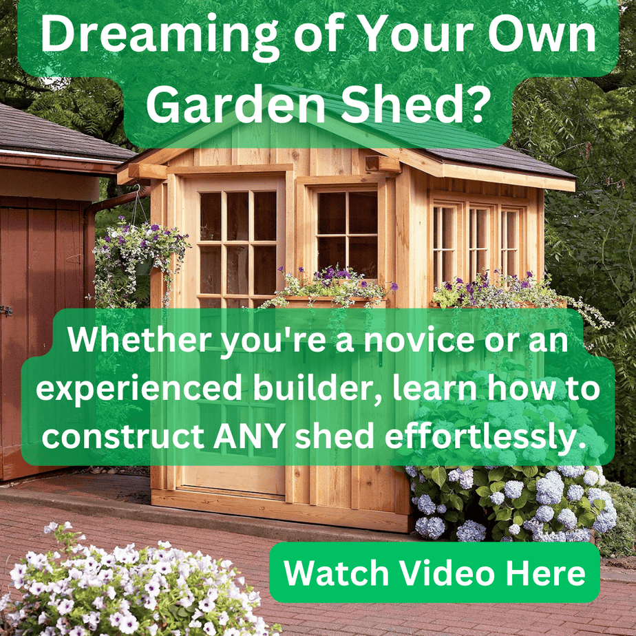 How to Prevent Your Shed Floor from Rotting – Outdoor Storage Options