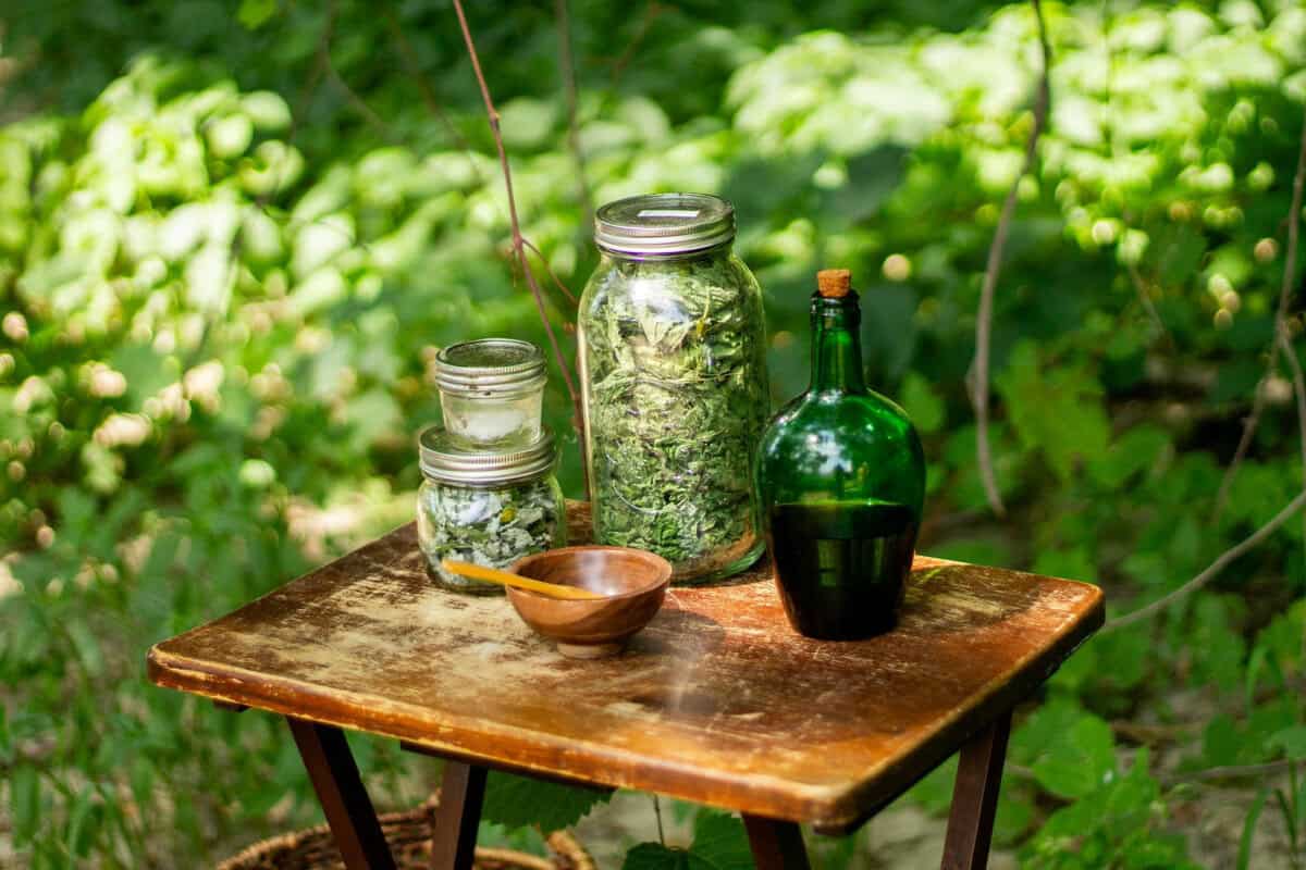 How to Plan a Medicinal Herb Garden – Outdoor Storage Options